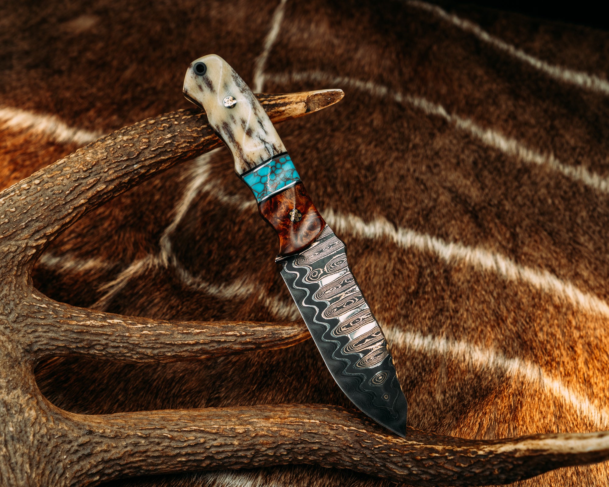 Disaster Jr - Baker Forge Ripple Copper Mai Damascus - Hawaiian Curly – Half Face Blades