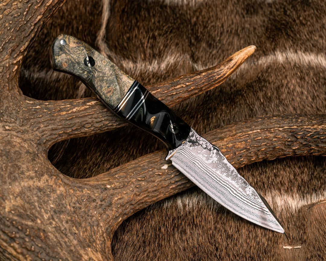 Field Knife Jr- Baker Forge Random Pattern Damascus- Bison Horn, Black ...