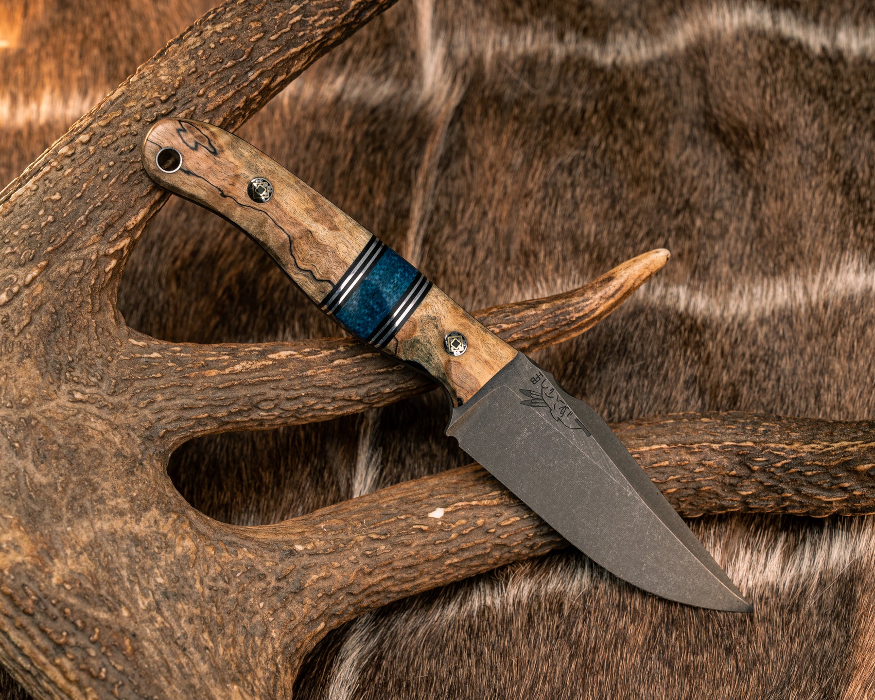 Drop Point Scalper- Spalted Maple, Black G10 and Aluminum Pin Striping ...
