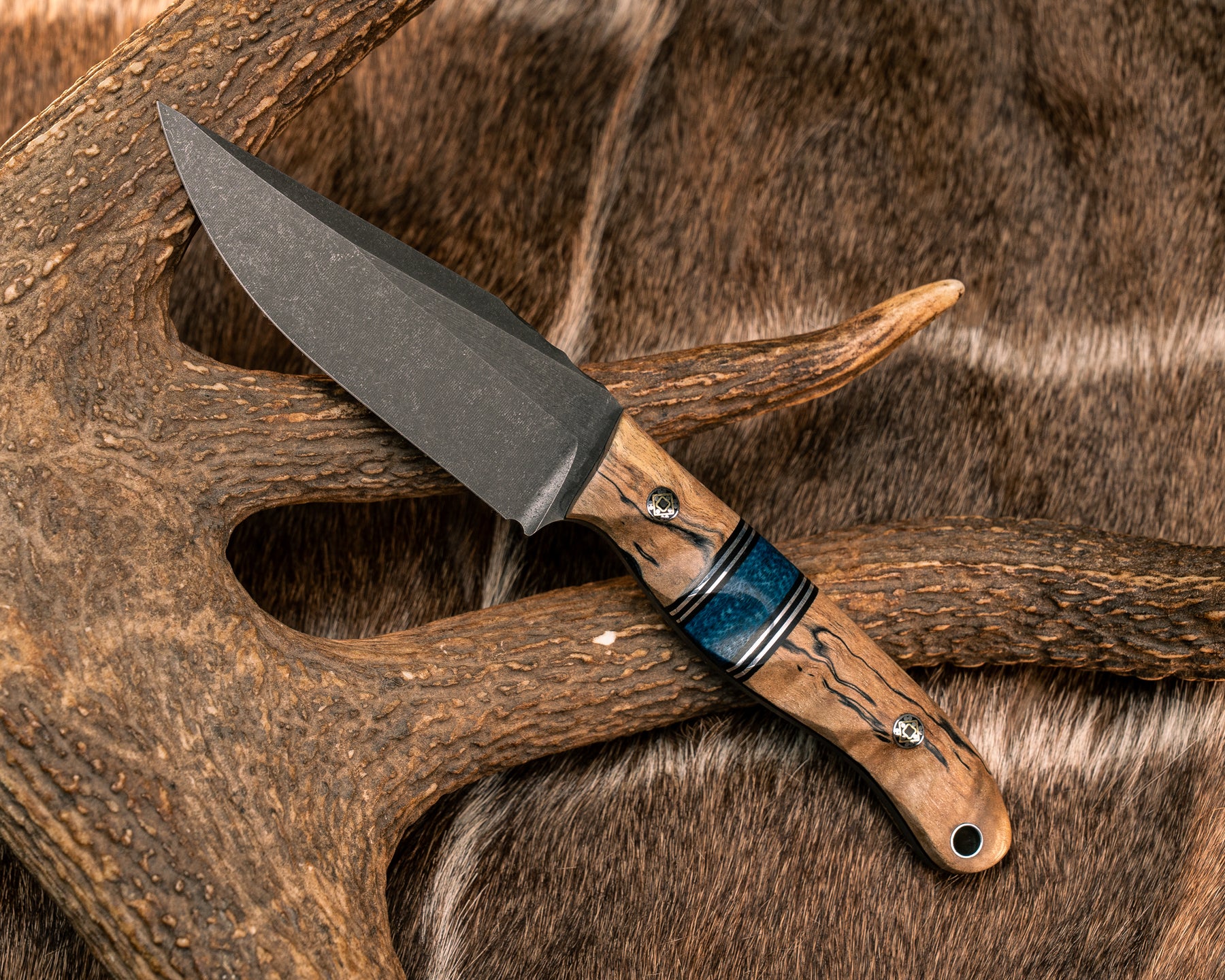 Drop Point Scalper- Spalted Maple, Black G10 and Aluminum Pin Striping ...