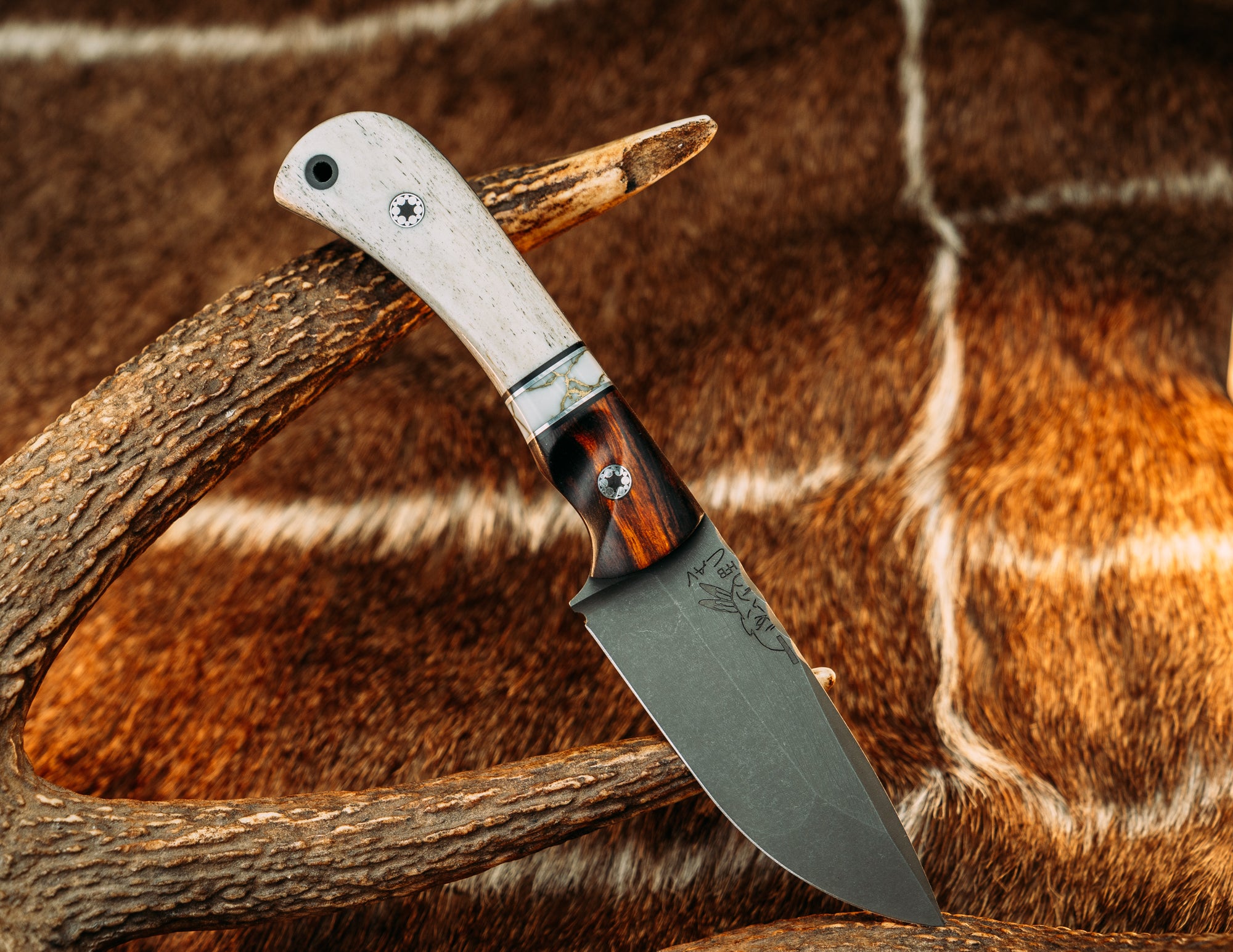 Cav Jr Compound Grind (CPM-S60V) - Desert Ironwood, Black G10 & Alumin ...