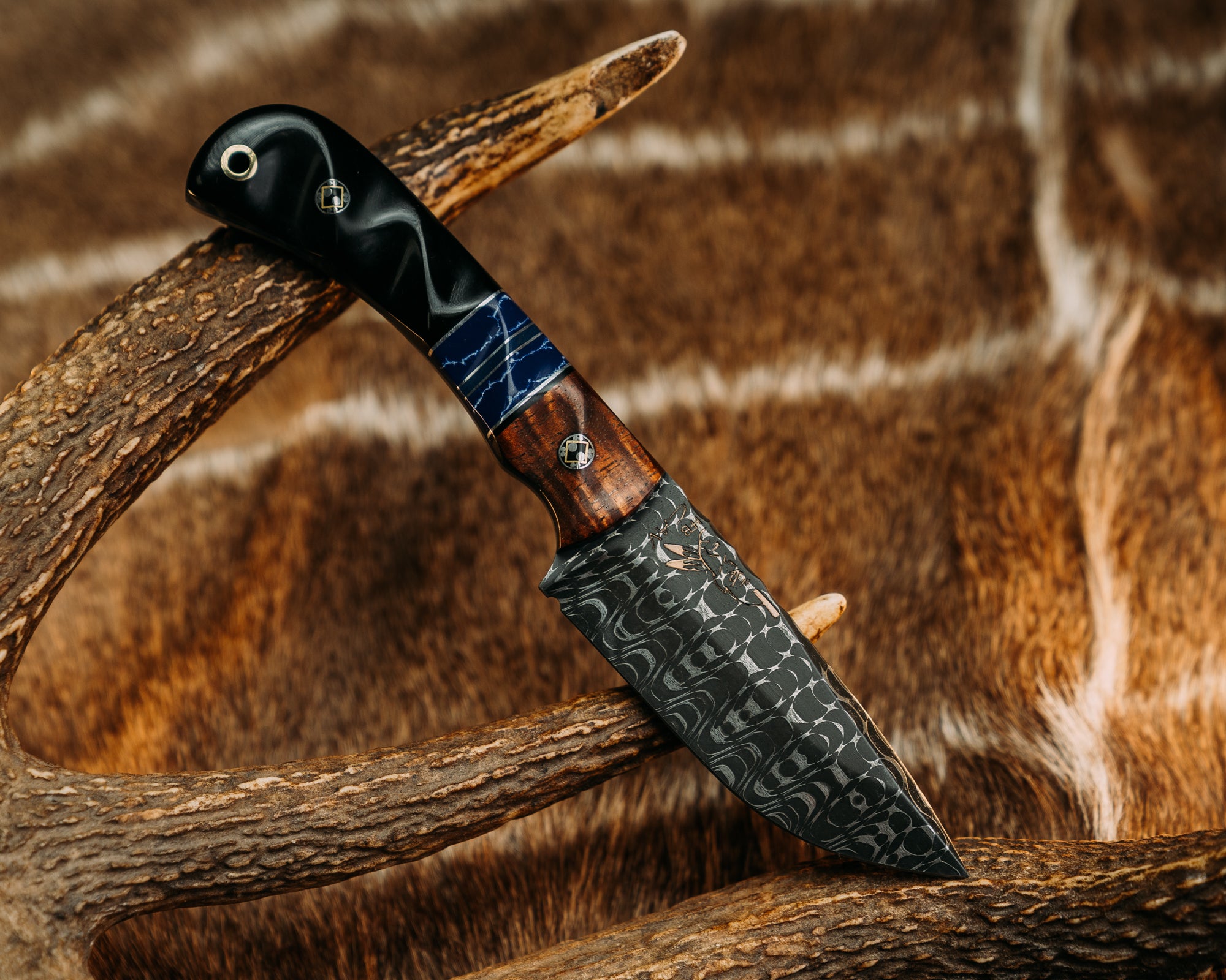 Cav Jr - Vegas Forge Honeycomb Damascus - Desert Ironwood, Black G10 ...