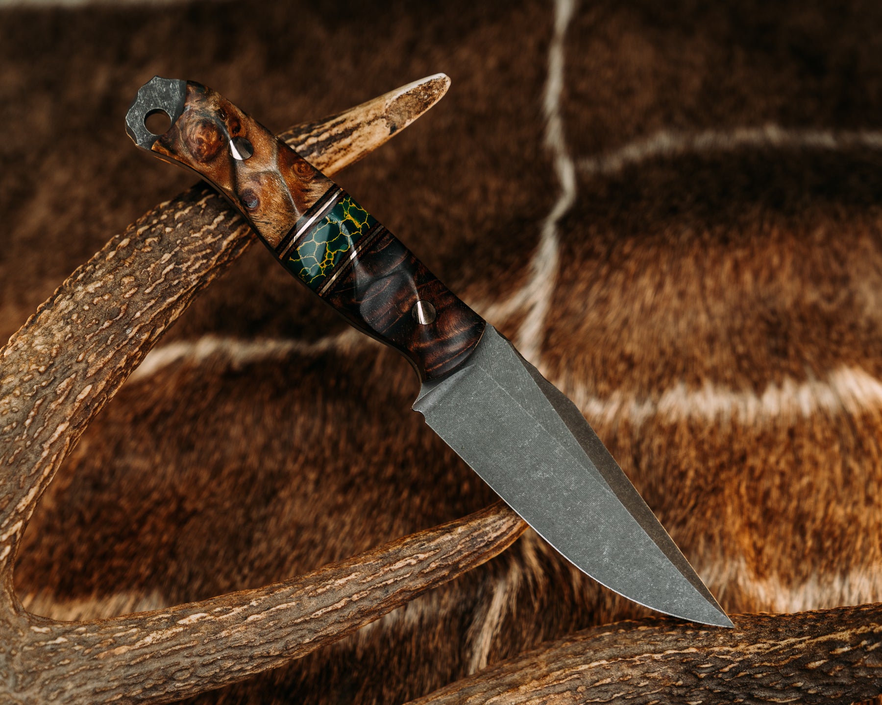 Drop Point Scalper - Hawaiian Curly Koa, Black G10 & Fire Canvas Micar ...