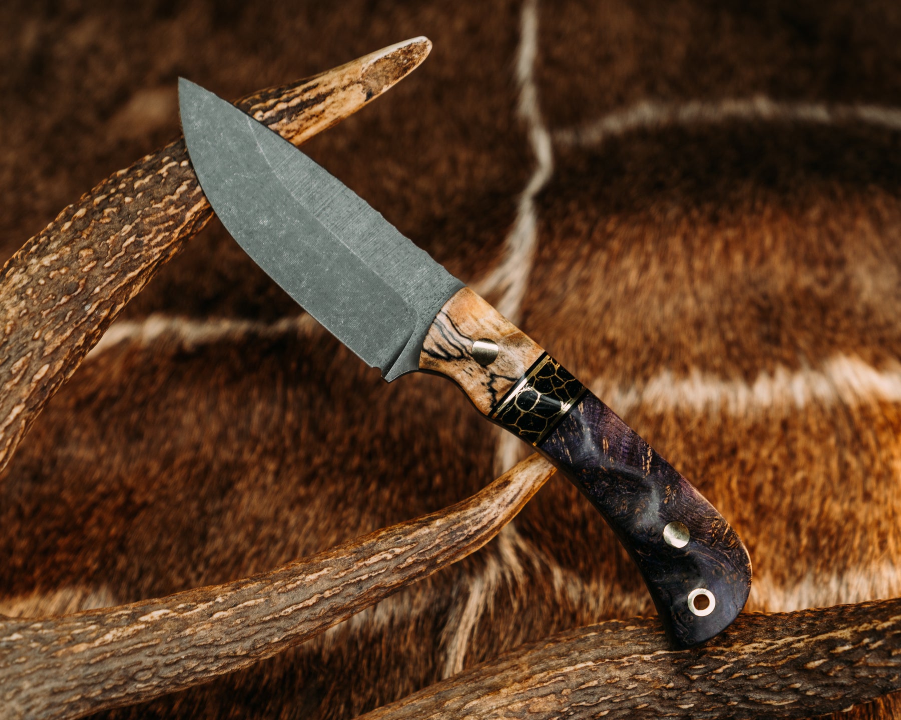 Cav Jr - Spalted Maple,Black G10 & Brass Pin Striping, Black w/ Gold M ...