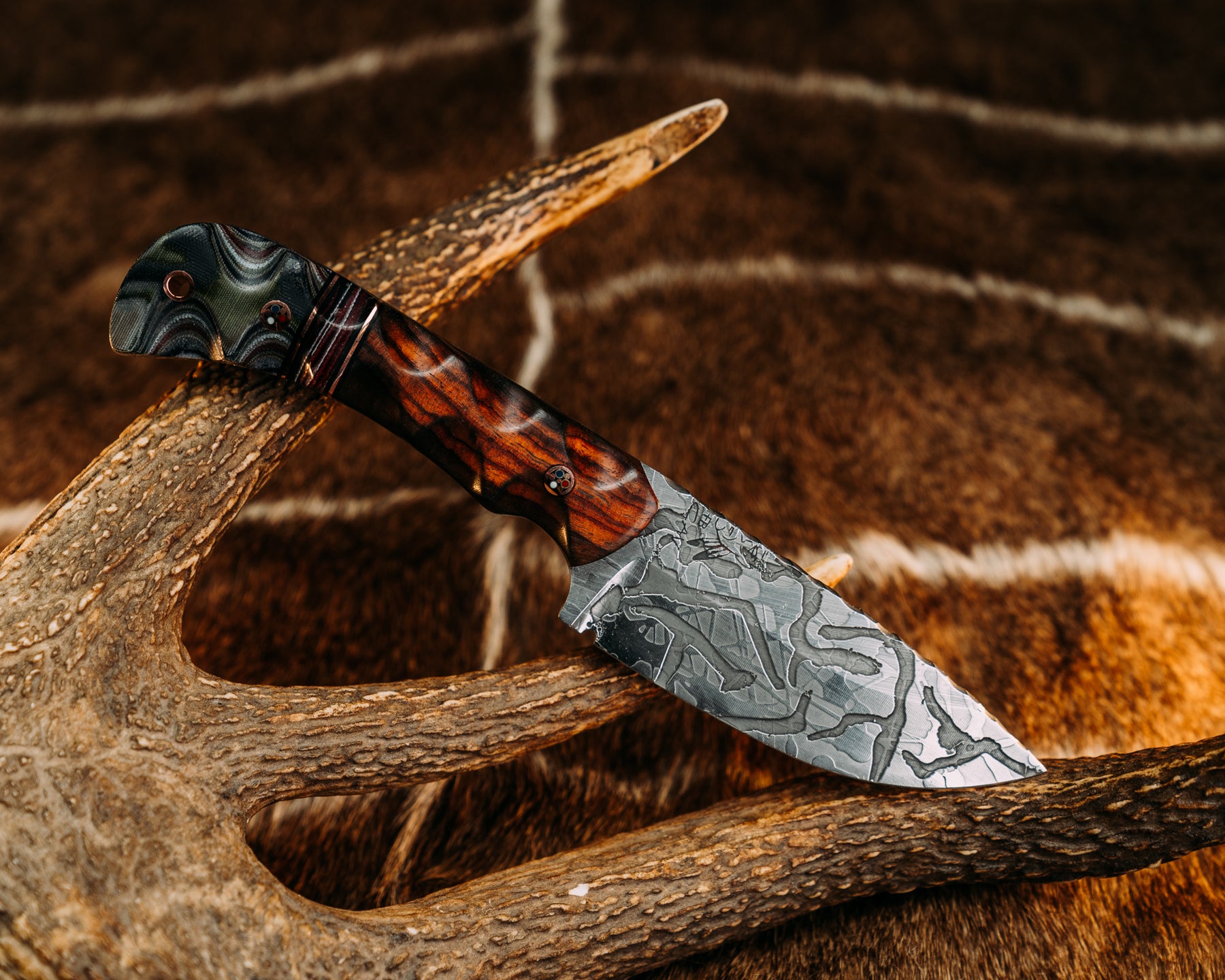 Cavner - Desert Ironwood, Black G10 & Copper Pin Striping, American Fl ...