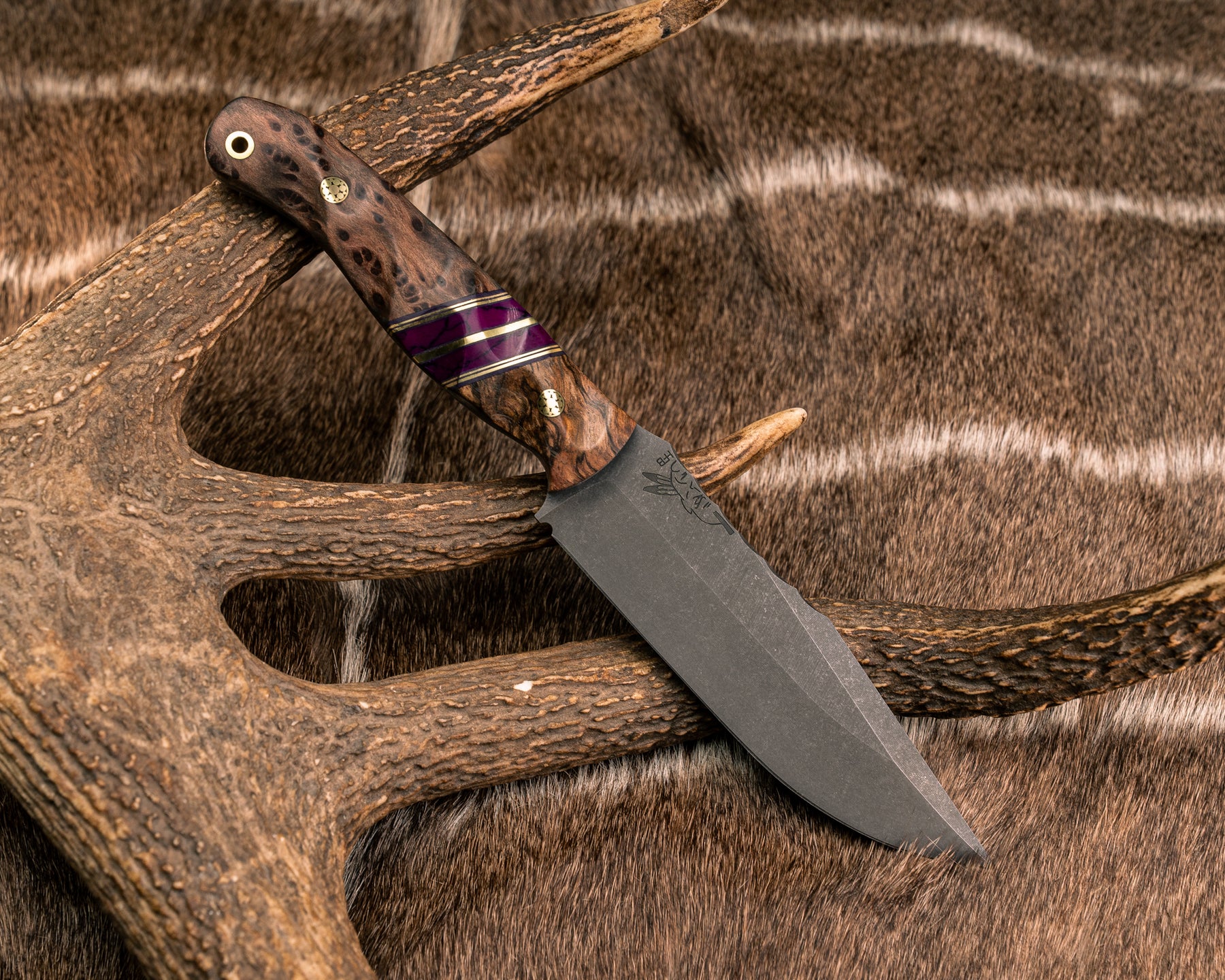Crow Scout Drop Point- Weru, Purple G10 and Brass Pin Striping, Sugi T ...