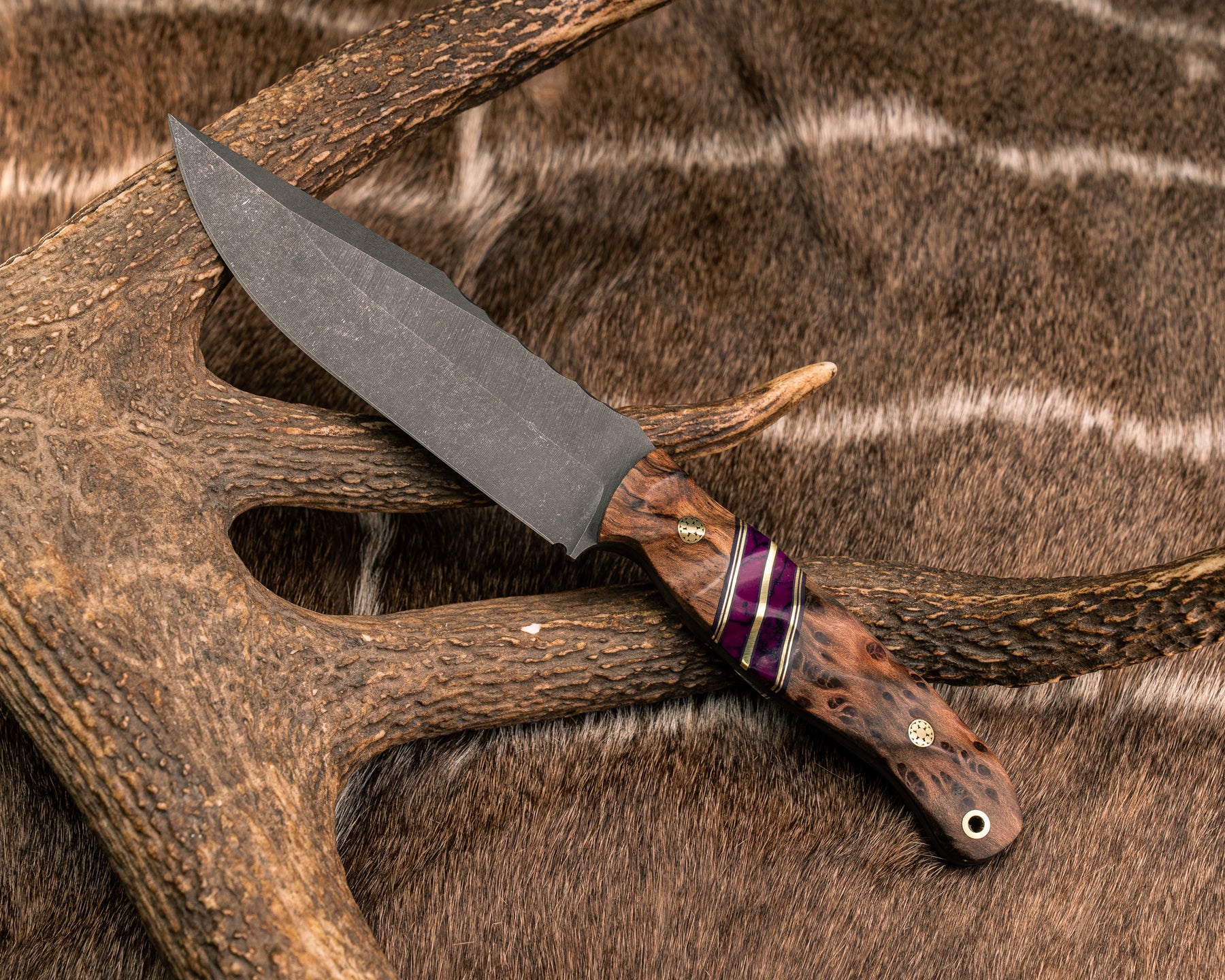 Crow Scout Drop Point- Weru, Purple G10 and Brass Pin Striping, Sugi T ...