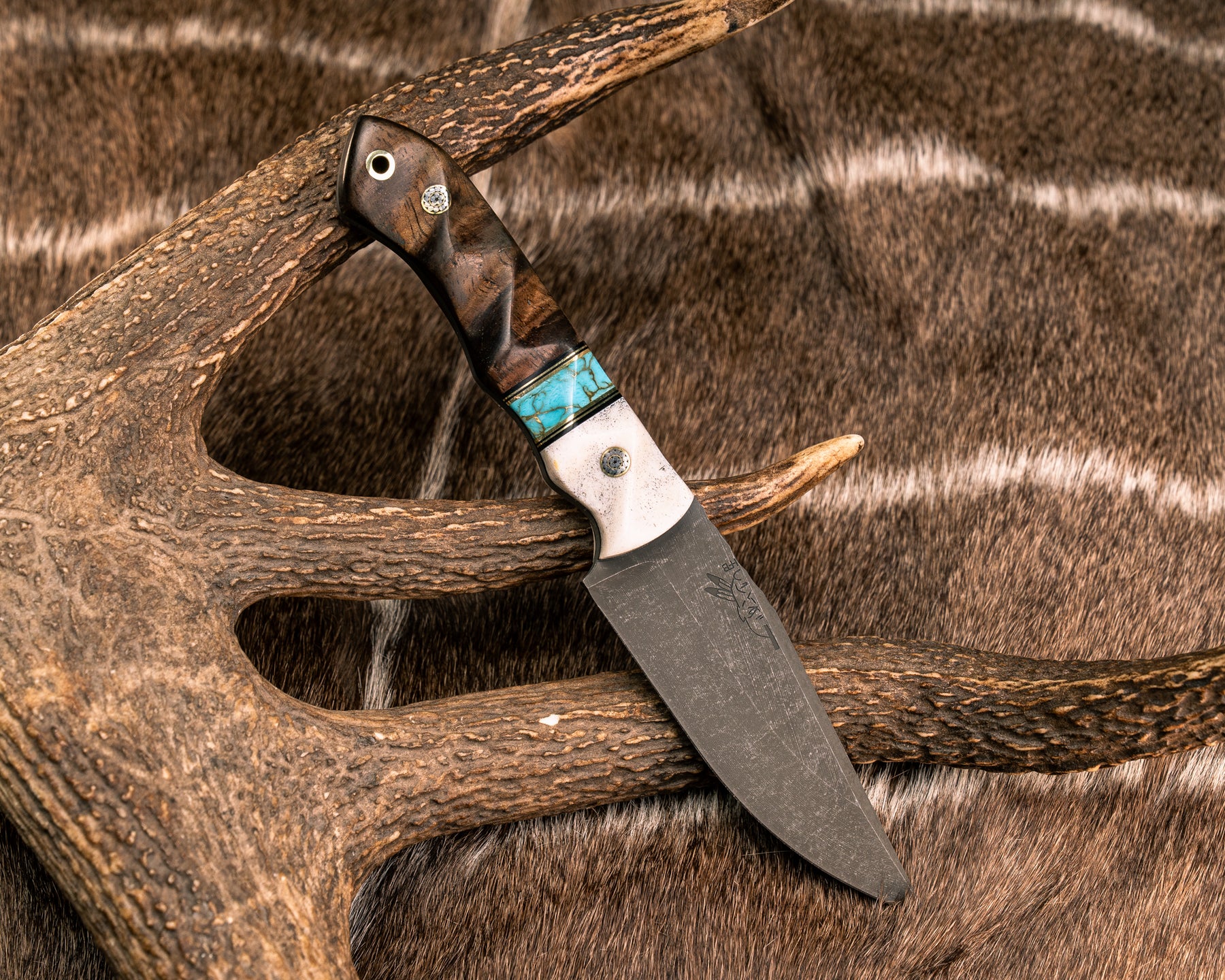 Red Crow- CO Elk Antler, Black G10 and Brass Pin Striping, Turquoise w ...