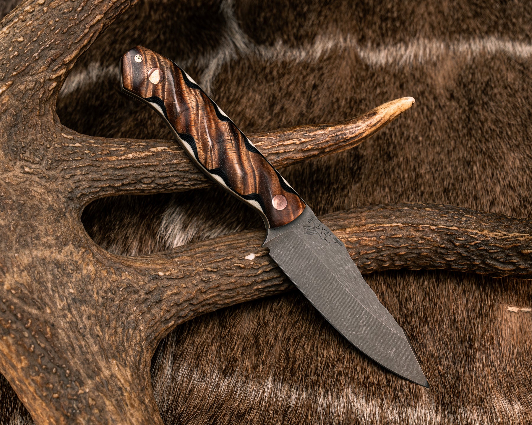 Field Knife Jr- Hawaiian Curly Koa, Over Black, White and Coyote G10 ...