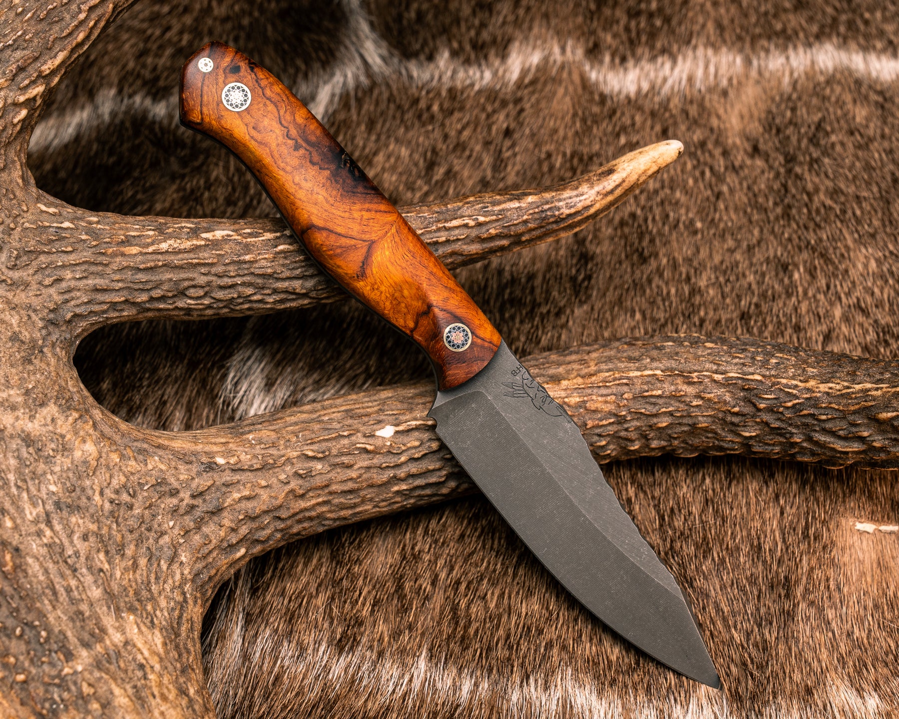 Field Knife Jr- Desert Ironwood, Mosaic Pins, 1/8" Mosaic Pin, Smooth ...