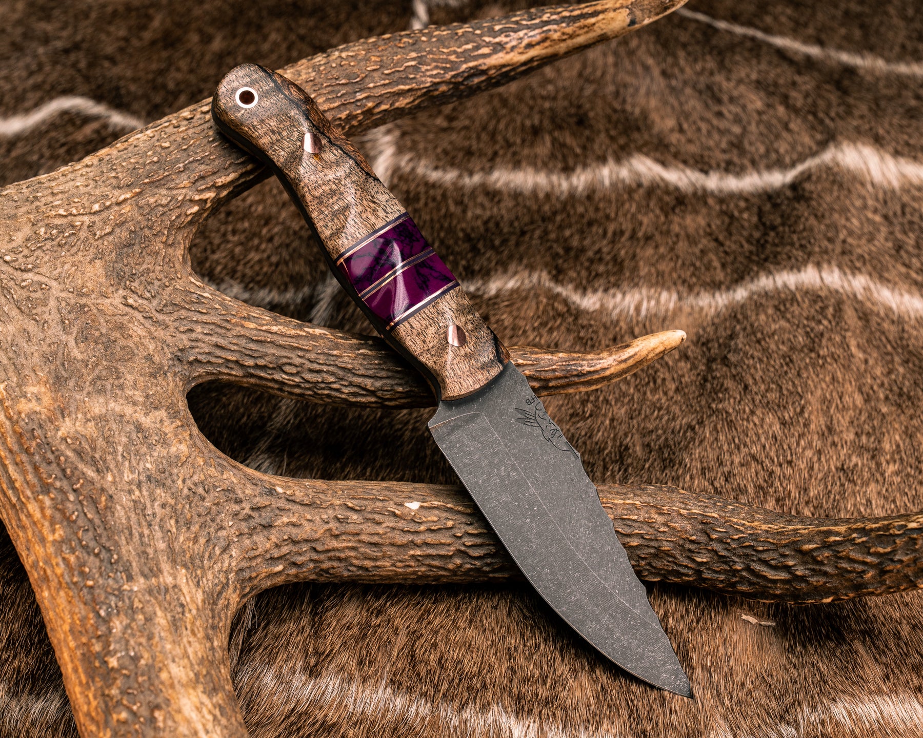 Crow Jr- Hawaiian Curly Koa, Purple G10 and Copper Pin Striping, Sugi ...