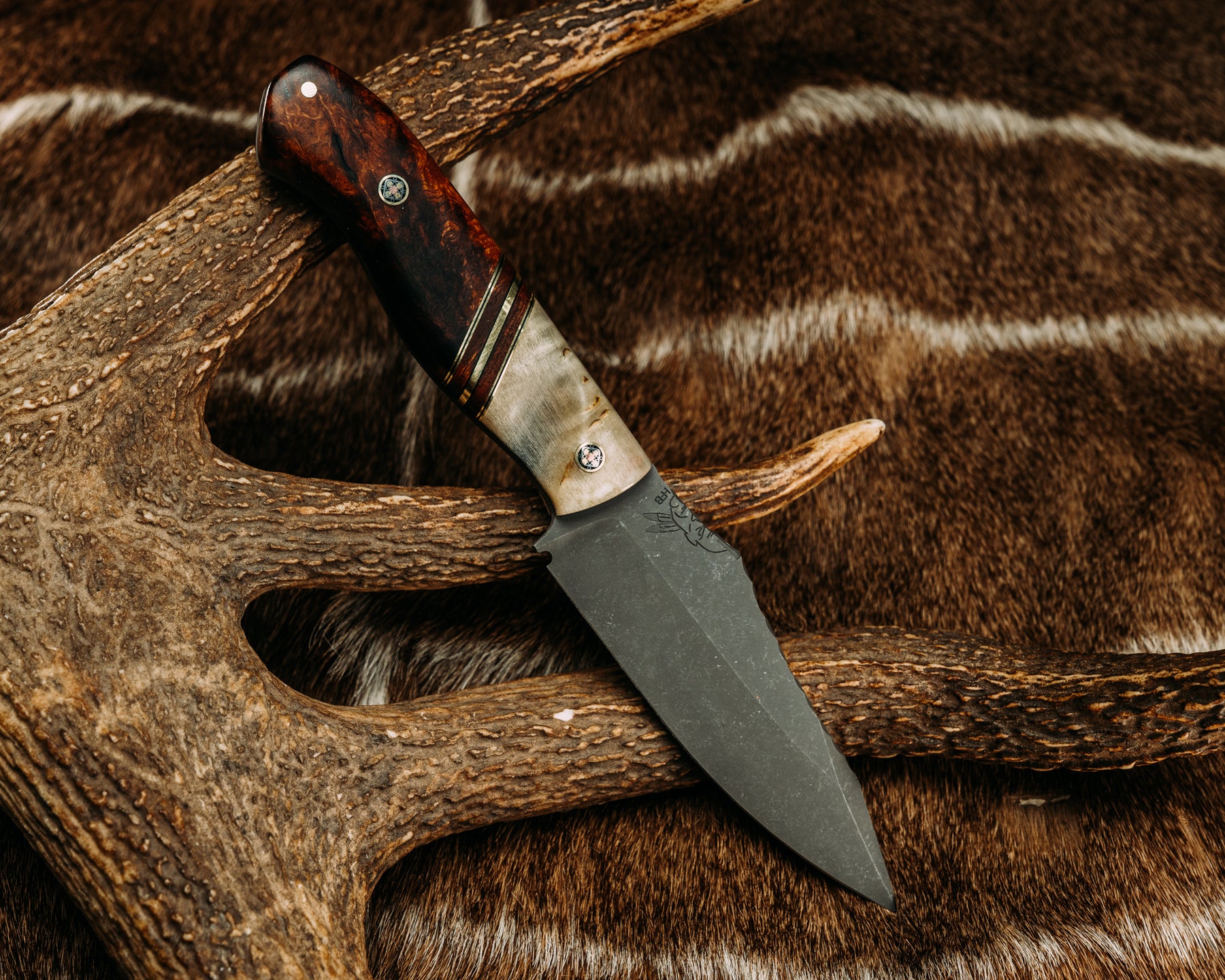 Field Knife- Rams Horn, Brass and Black G10, Desert Ironwood Split, De ...